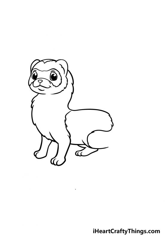 Ferret Drawing - How To Draw A Ferret Step By Step