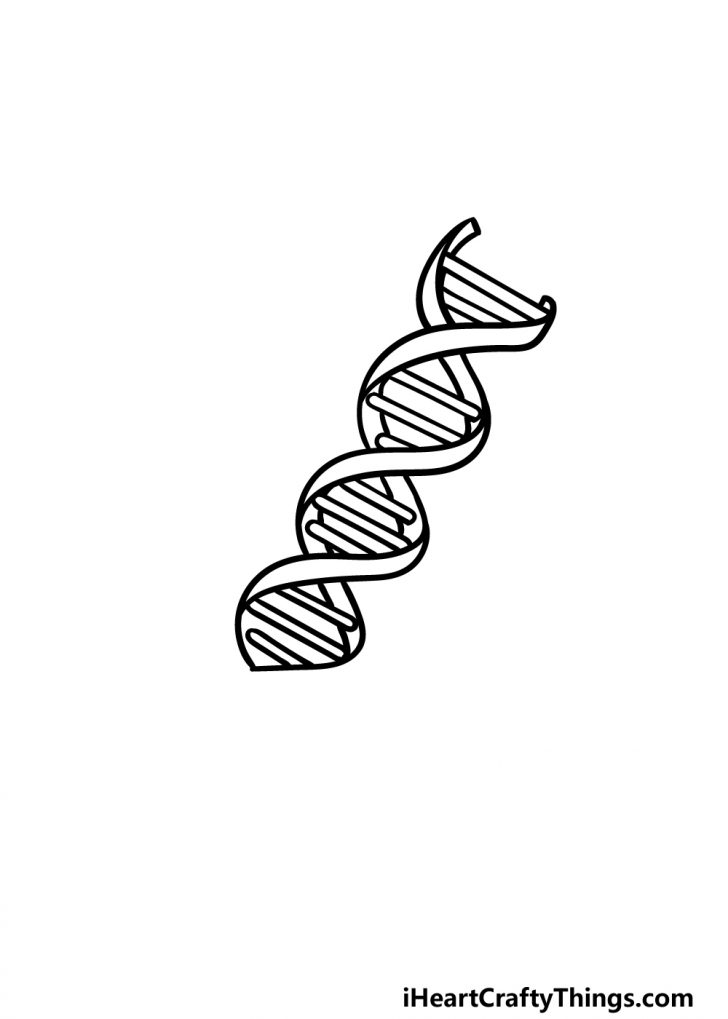 DNA Drawing - How To Draw DNA Step By Step