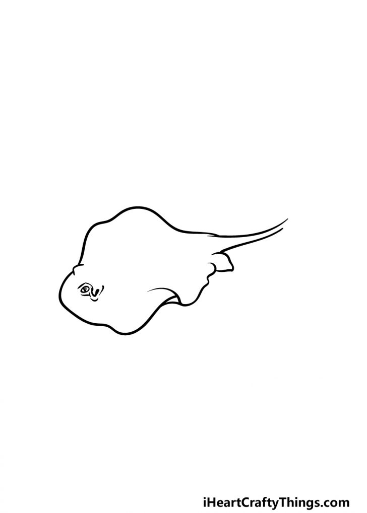Stingray Drawing - How To Draw A Stingray Step By Step