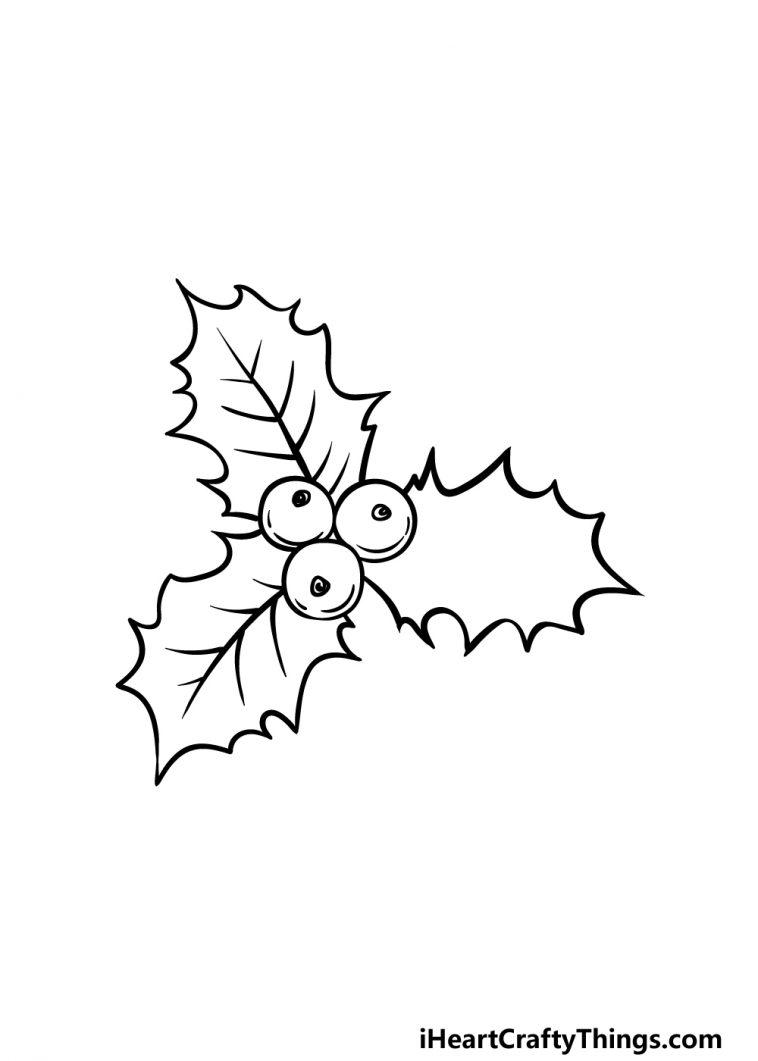 Holly Drawing How To Draw A Holly Step By Step