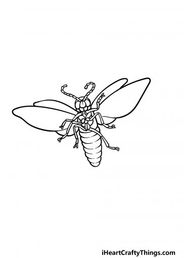 Firefly Drawing - How To Draw A Firefly Step By Step