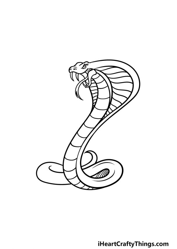 Cobra Drawing - How To Draw A Cobra Step By Step