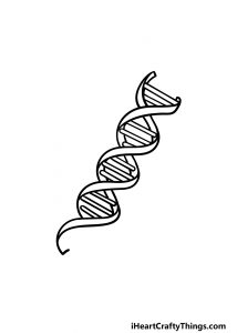 DNA Drawing - How To Draw DNA Step By Step