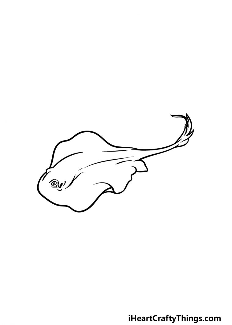 Stingray Drawing - How To Draw A Stingray Step By Step