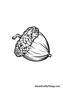Acorn Drawing - How To Draw An Acorn Step By Step