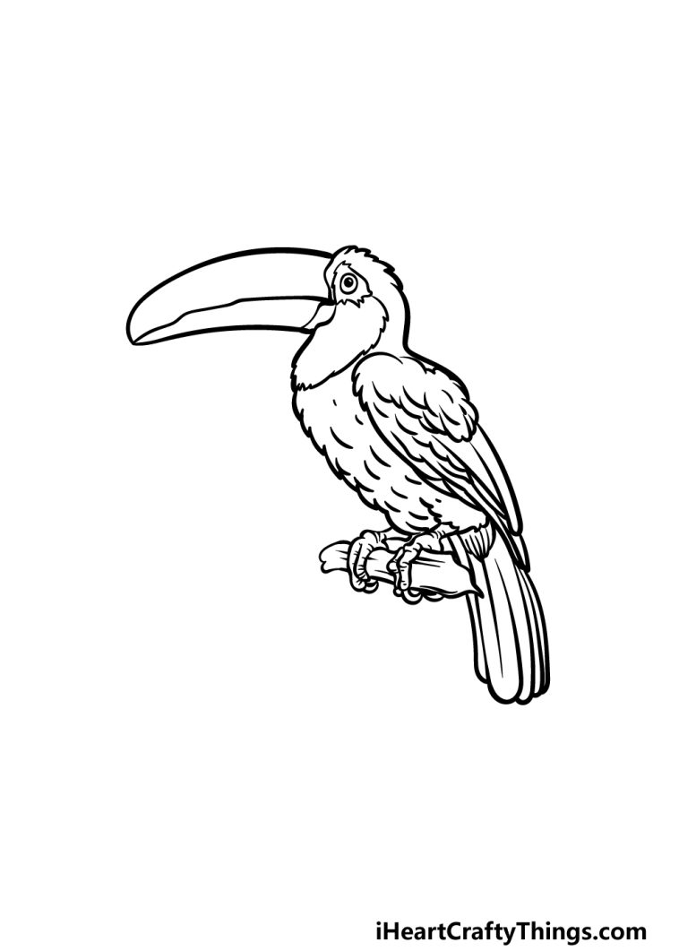 Toucan Drawing - How To Draw A Toucan Step By Step