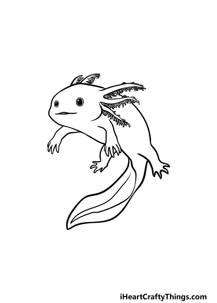 Axolotl Drawing - How To Draw An Axolotl Step By Step