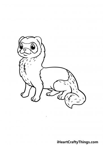 Ferret Drawing - How To Draw A Ferret Step By Step
