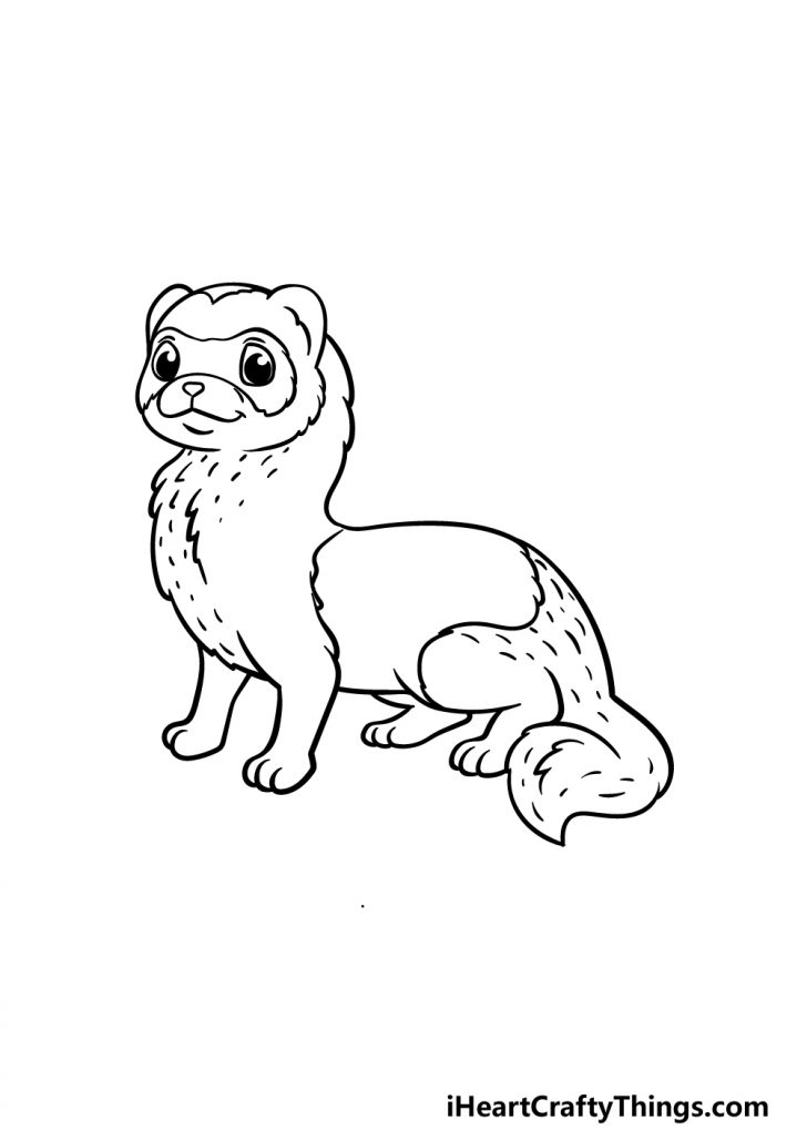 Ferret Drawing - How To Draw A Ferret Step By Step