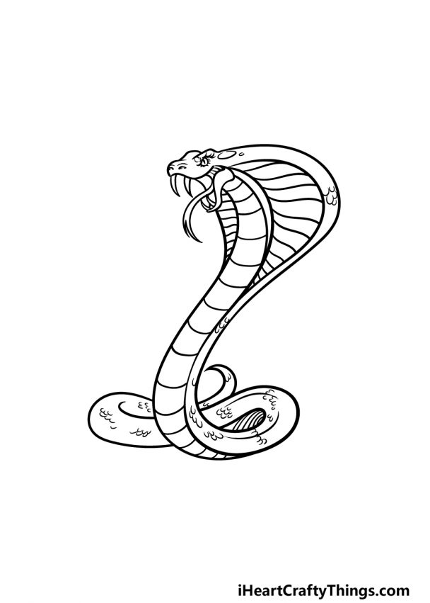 Cobra Drawing - How To Draw A Cobra Step By Step