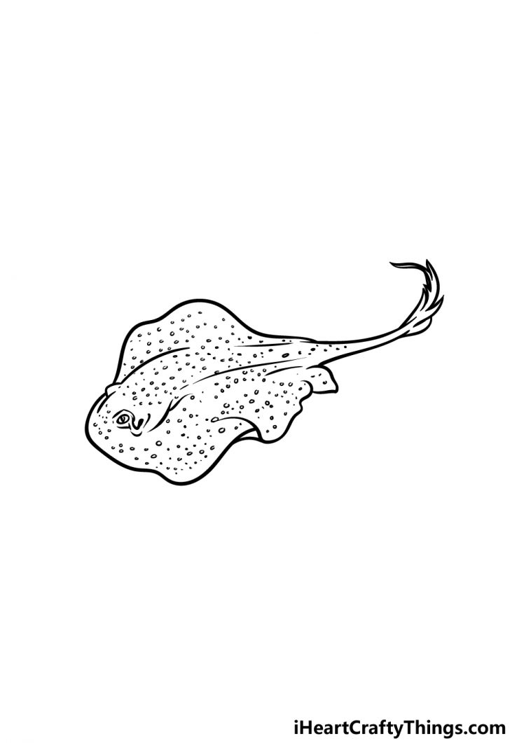 Stingray Drawing - How To Draw A Stingray Step By Step
