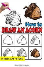 Acorn Drawing - How To Draw An Acorn Step By Step