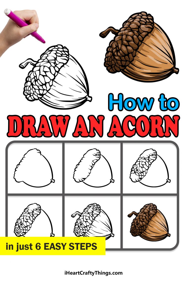 Acorn Drawing - How To Draw An Acorn Step By Step