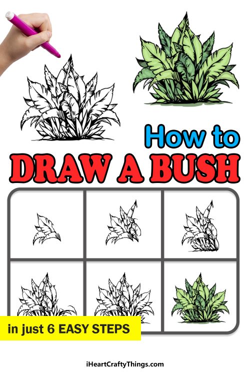 Bush Drawing - How To Draw A Bush Step By Step