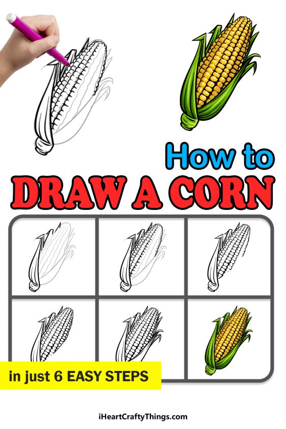 Corn Drawing - How To Draw Corn Step By Step