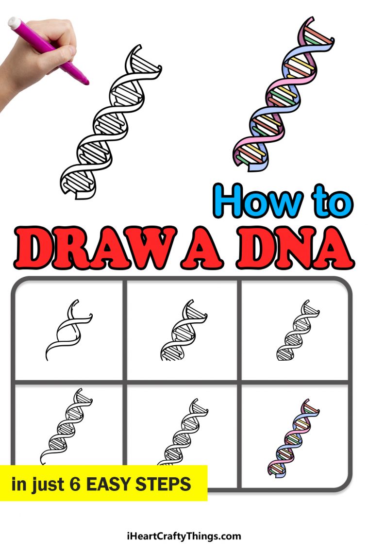 DNA Drawing - How To Draw DNA Step By Step