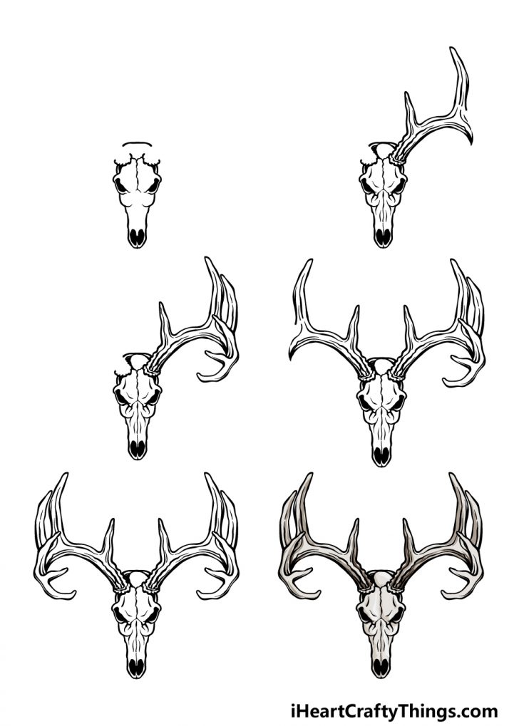 Deer Skull Drawing - How To Draw A Deer Skull Step By Step