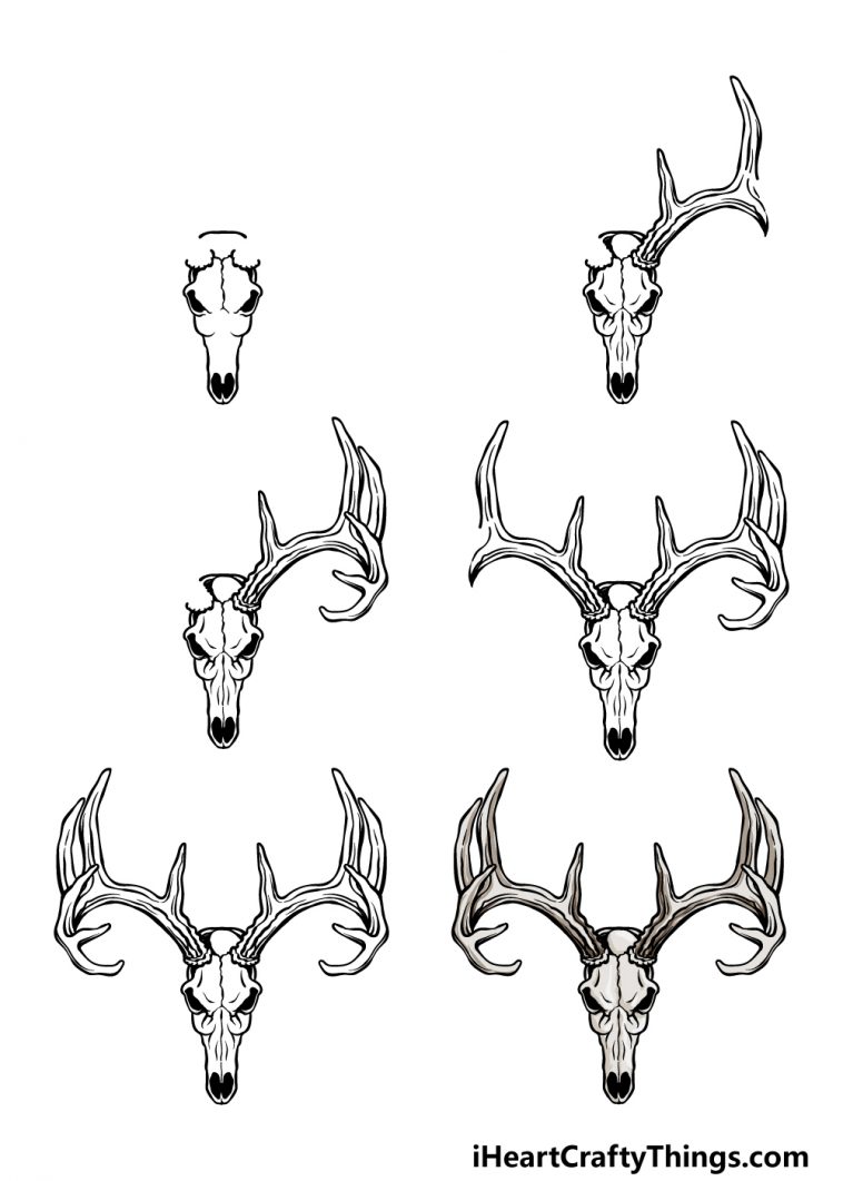 Deer Skull Drawing - How To Draw A Deer Skull Step By Step