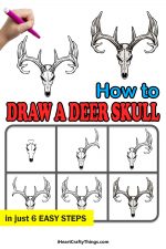 Deer Skull Drawing - How To Draw A Deer Skull Step By Step