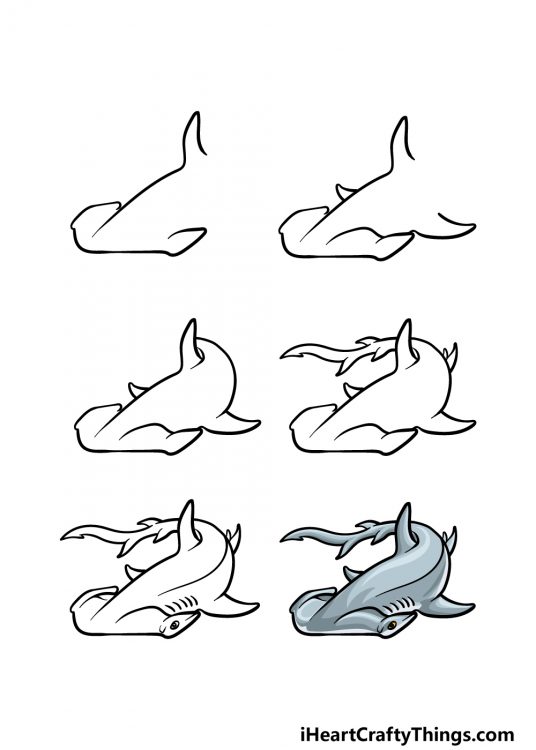 Hammerhead Shark Drawing - How To Draw A Hammerhead Shark Step By Step