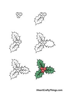Holly Drawing - How To Draw A Holly Step By Step