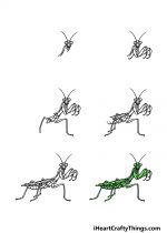 Insect Drawing - How To Draw An Insect Step By Step