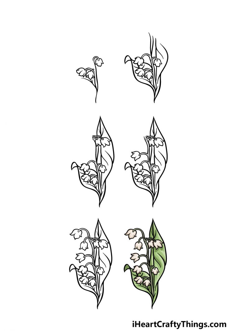 Lily Of The Valley Drawing - How To Draw Lily Of The Valley Step By Step