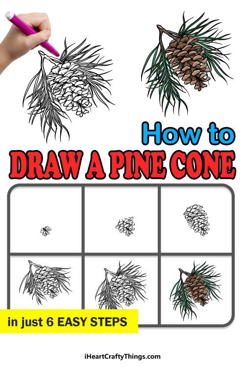 Pinecone Drawing - How To Draw A Pinecone Step By Step