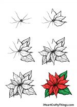 Poinsettia Drawing - How To Draw A Poinsettia Step By Step