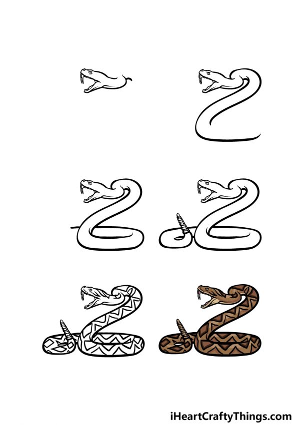 Rattlesnake Drawing - How To Draw A Rattlesnake Step By Step