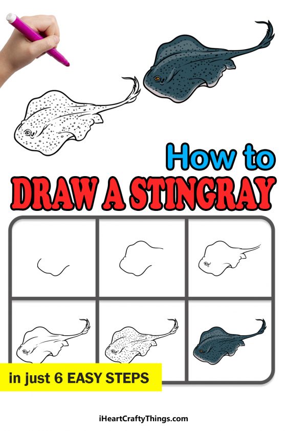 Stingray Drawing - How To Draw A Stingray Step By Step