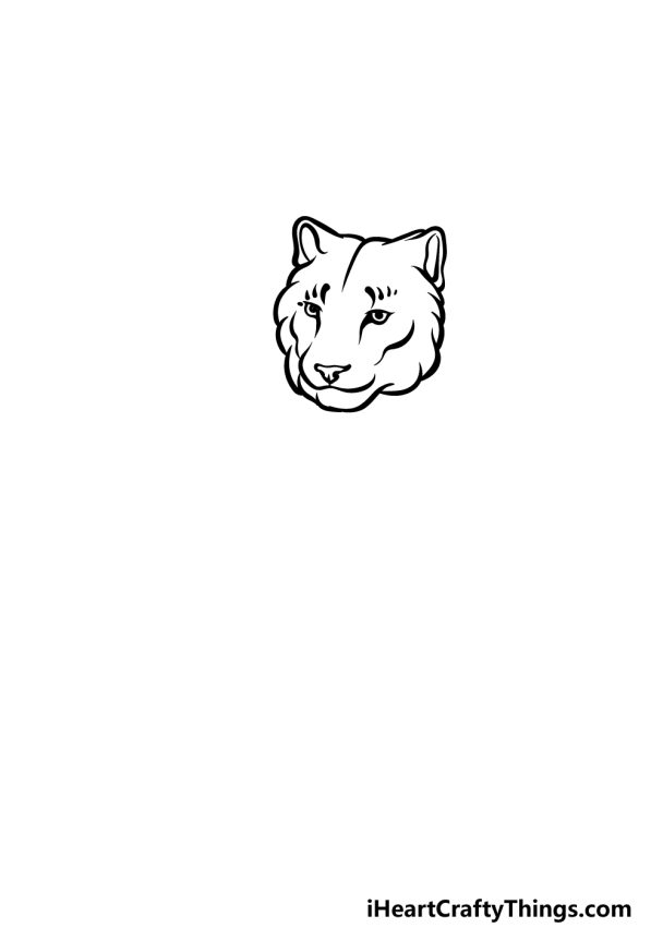 Snow Leopard Drawing - How To Draw A Snow Leopard Step By Step