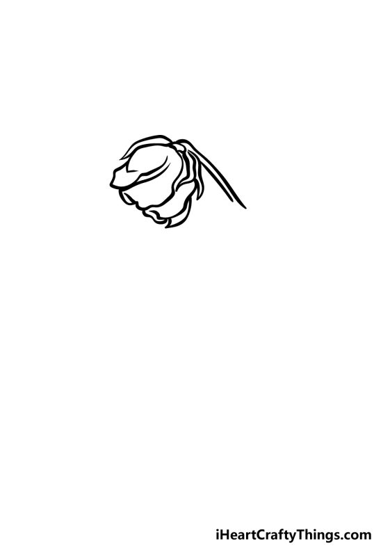 Dead Rose Drawing - How To Draw A Dead Rose Step By Step