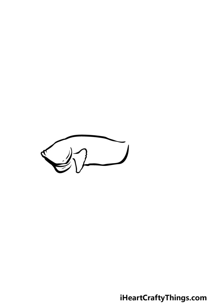 Betta Fish Drawing - How To Draw A Betta Fish Step By Step
