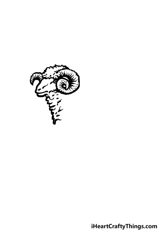 Ram Drawing - How To Draw A Ram Step By Step