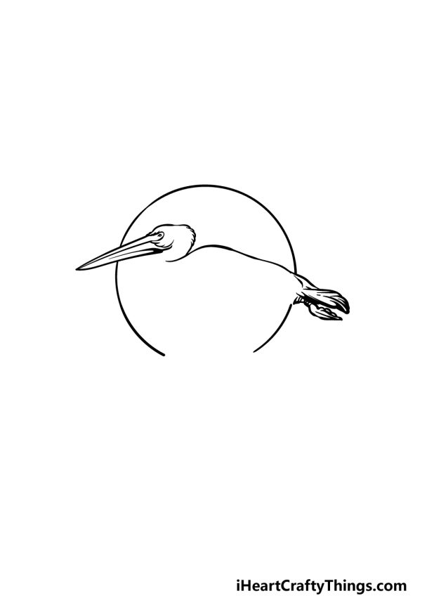Pelican Drawing - How To Draw A Pelican Step By Step
