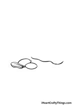 Peanut Drawing - How To Draw A Peanut Step By Step