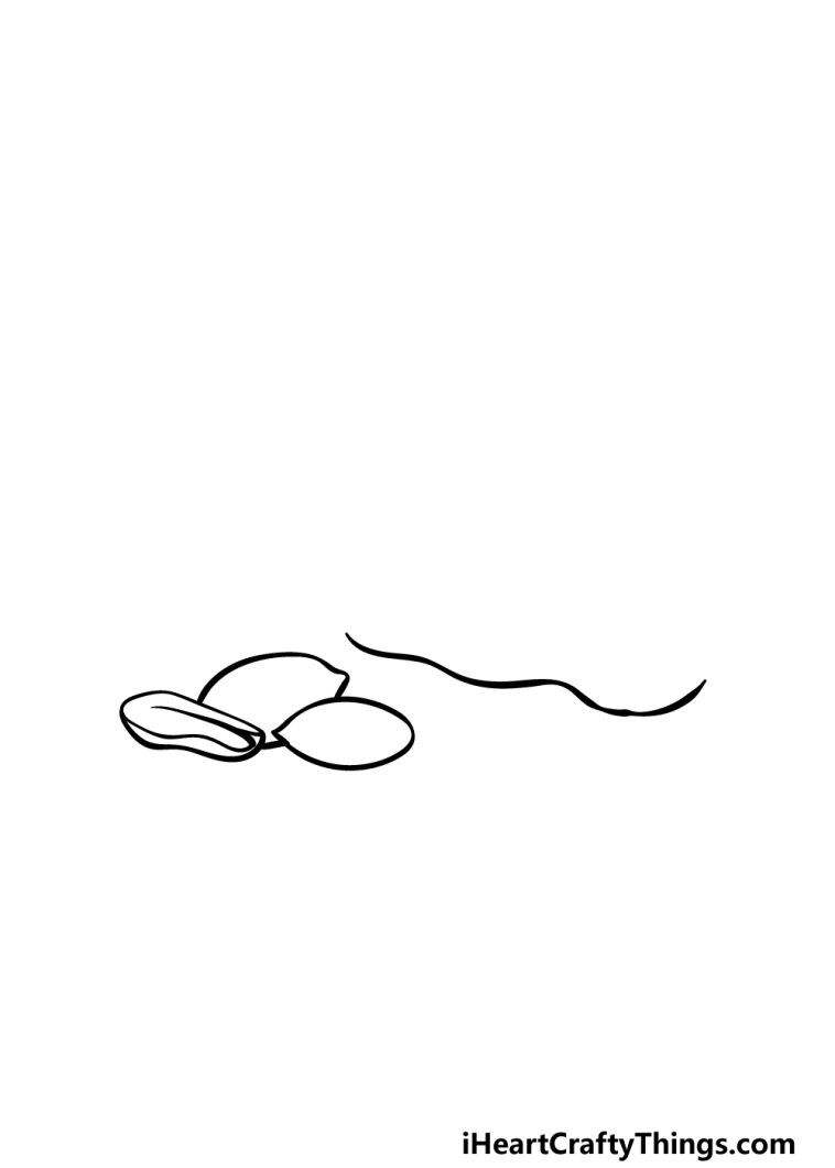 Peanut Drawing - How To Draw A Peanut Step By Step