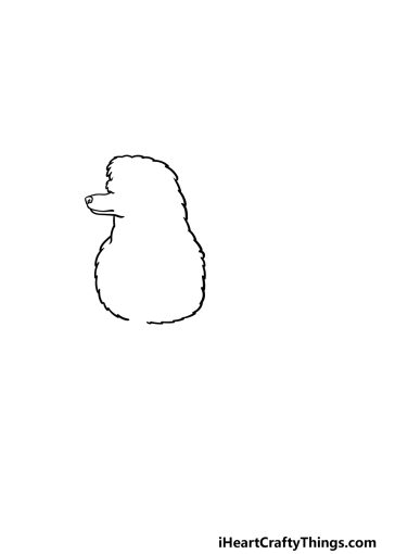 Poodle Drawing - How To Draw A Poodle Step By Step