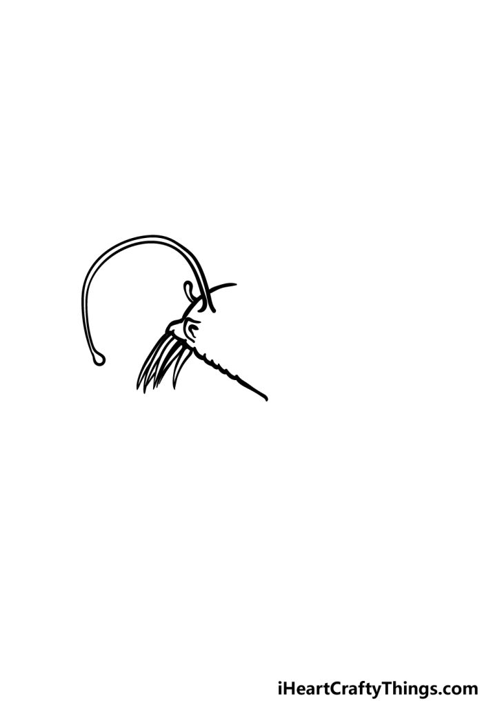 Angler Fish Drawing - How To Draw An Angler Fish Step By Step
