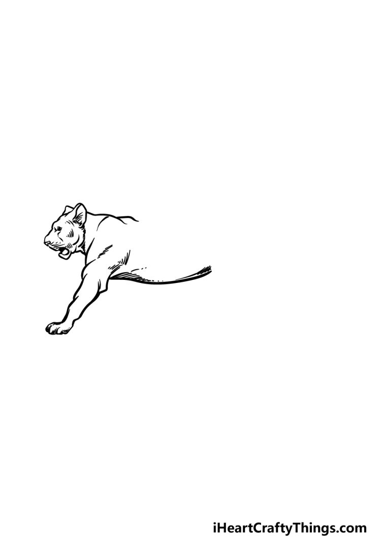 Lioness Drawing - How To Draw A Lioness Step By Step