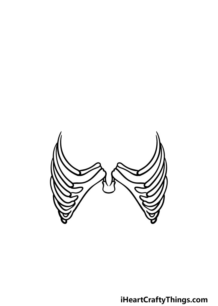 Rib Cage Drawing - How To Draw A Rib Cage Step By Step