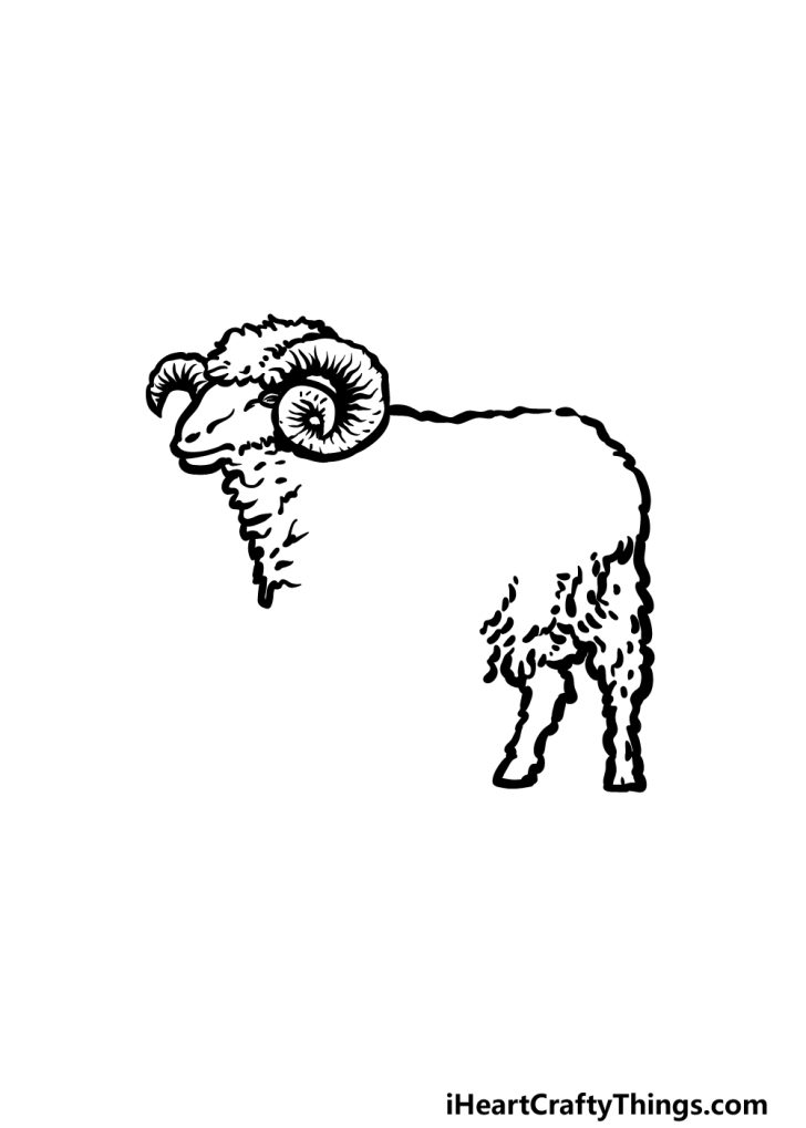 Ram Drawing - How To Draw A Ram Step By Step