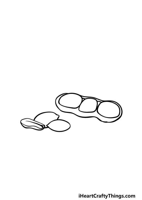 Peanut Drawing - How To Draw A Peanut Step By Step
