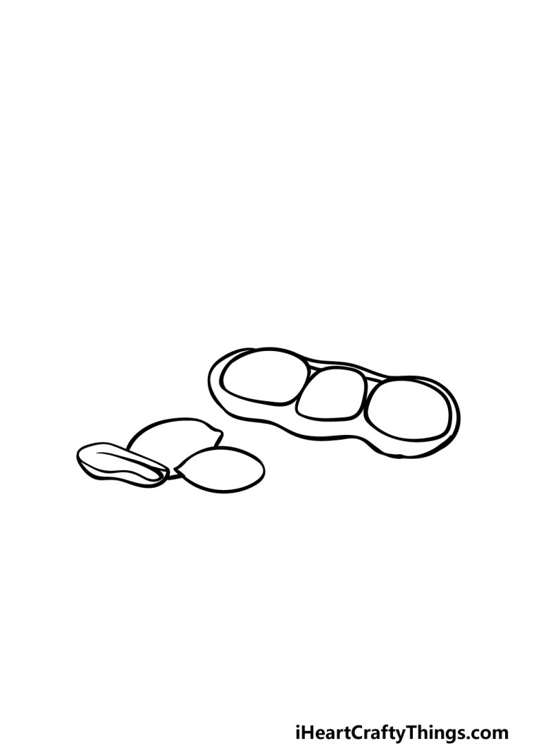 Peanut Drawing - How To Draw A Peanut Step By Step