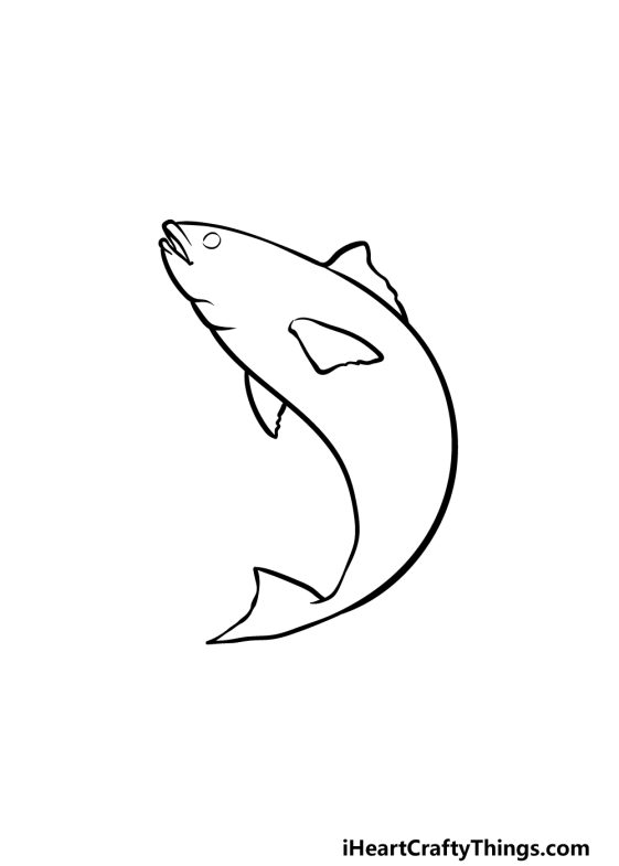 Salmon Drawing - How To Draw A Salmon Step By Step