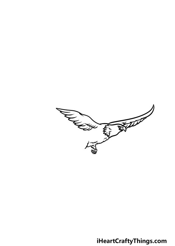Flying Eagle Drawing - How To Draw A Flying Eagle Step By Step
