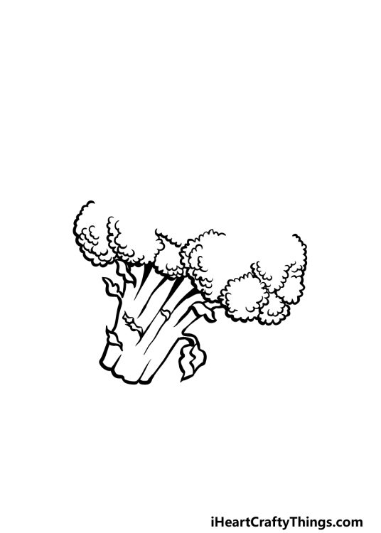 Broccoli Drawing - How To Draw Broccoli Step By Step