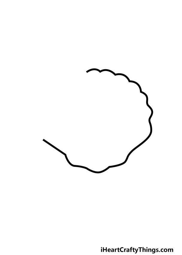 Shell Drawing - How To Draw A Shell Step By Step