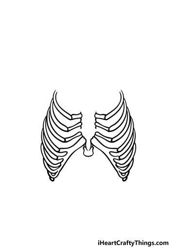 Rib Cage Drawing - How To Draw A Rib Cage Step By Step